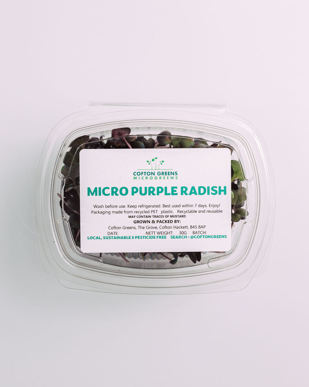 MICRO PURPLE RADISH – Cofton Greens